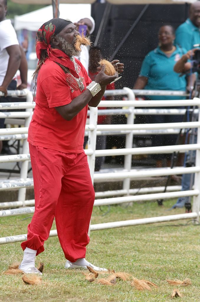 Goat Racing at Buccoo – Tobago House of Assembly